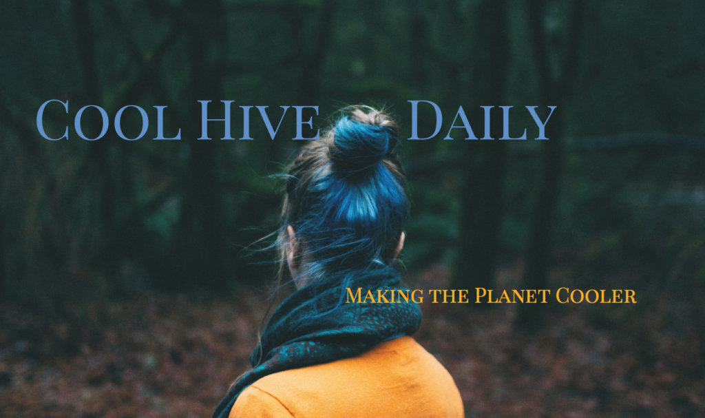 Cool Hive Daily - Cool Hive